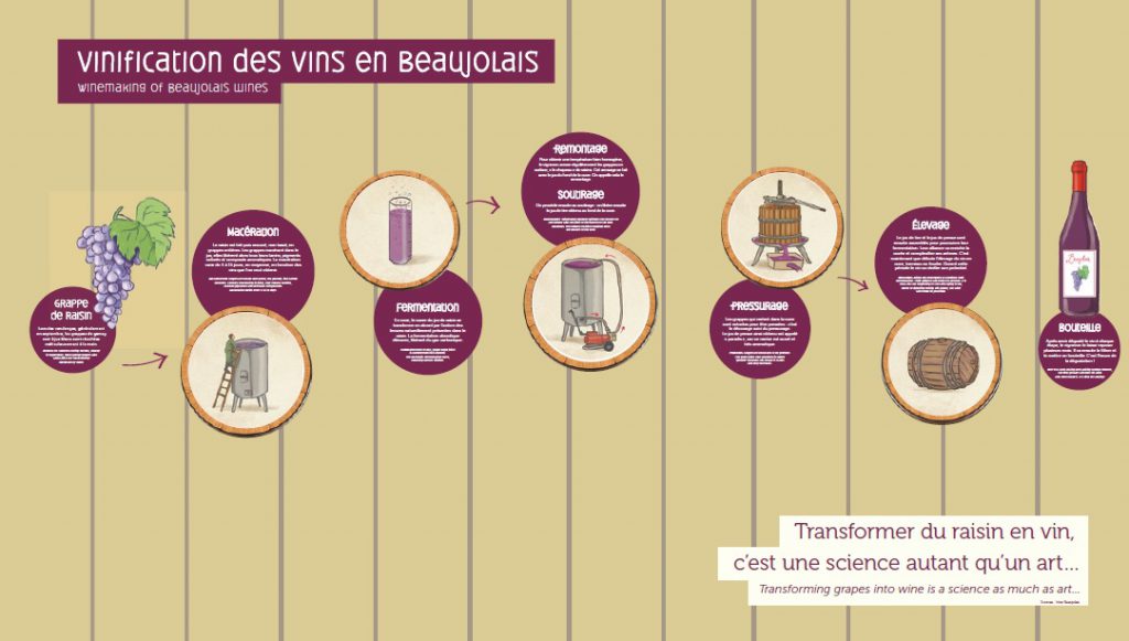 Scolaires – La maison du terroir beaujolais